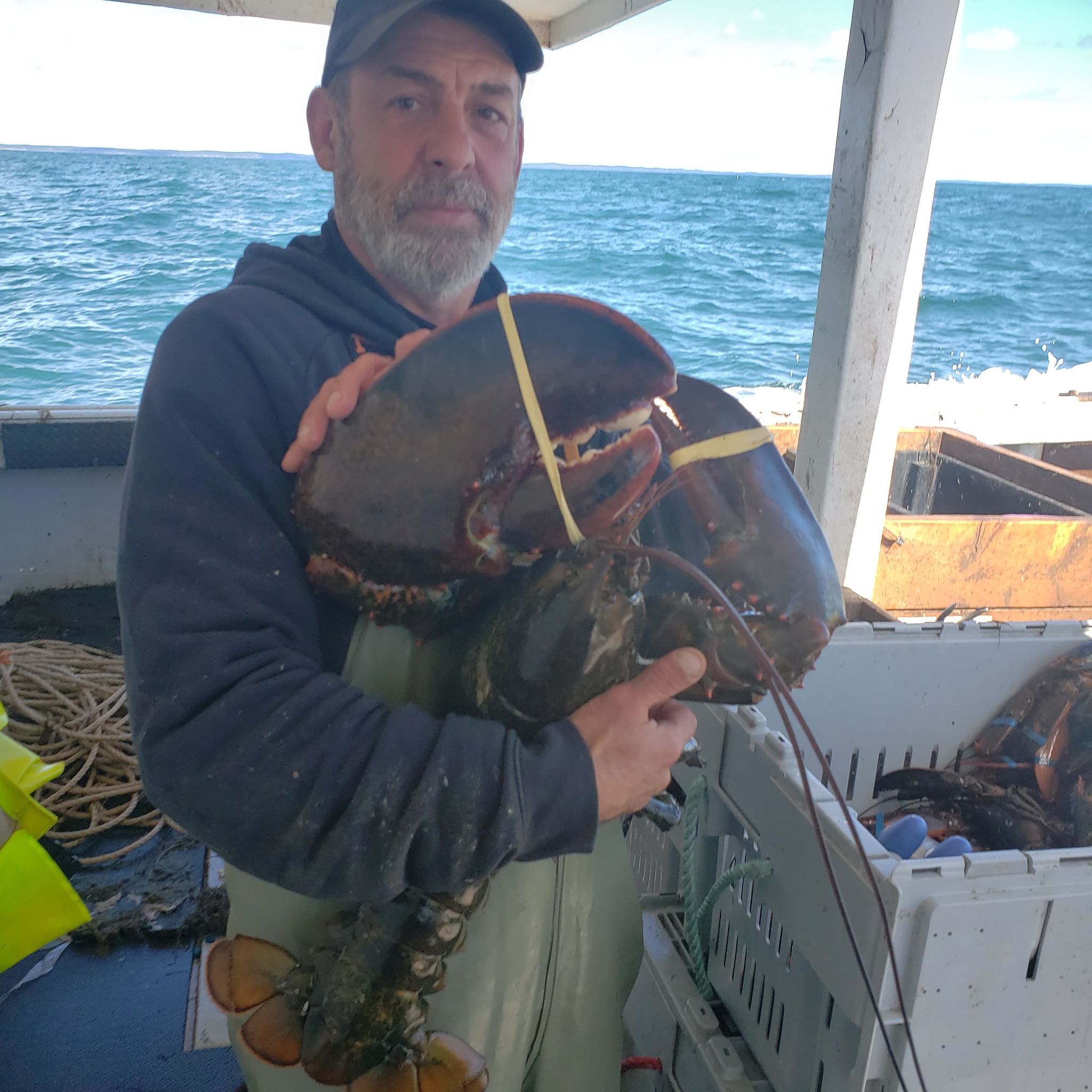 About – Bait Masters Inc.